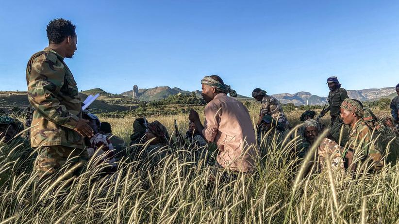 Tigray-Konflikt: Der Friedensnobelpreisträger führt Krieg | ZEIT ONLINE