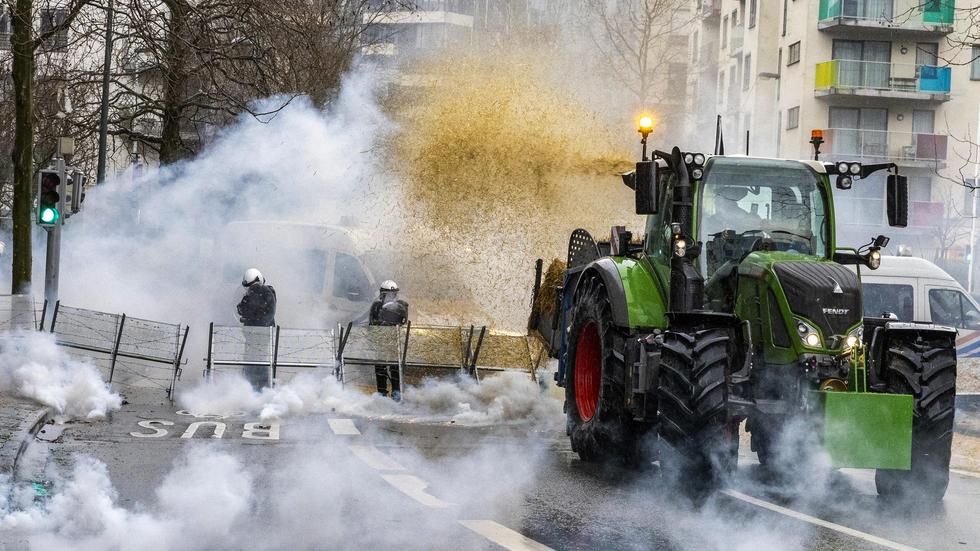 Bauernproteste in Brüssel: Ein hölzernes Angebot für Europas wütende ...