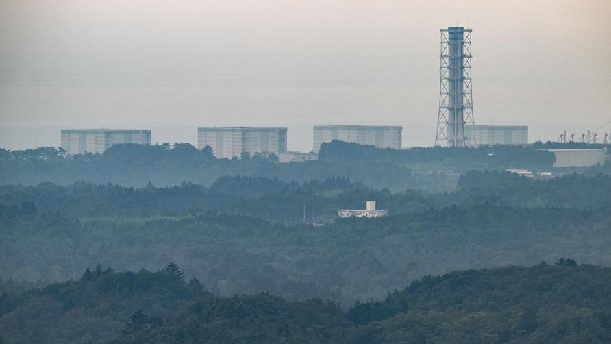 Fukushima: Die Folgen der Nuklearkatastrophe | DIE ZEIT
