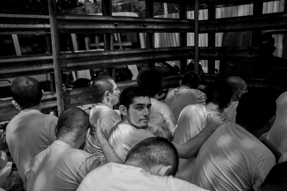 World Press Photo Award: Stille Bilder, die laut sprechen | DIE ZEIT