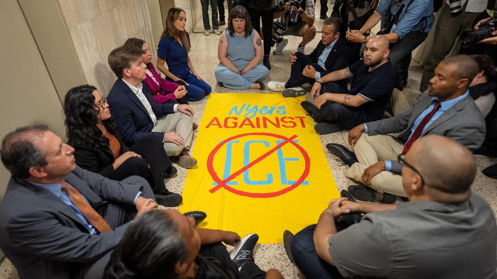 New York: Politiker und Protestierende vor ICE-Haftanstalt festgenommen ...
