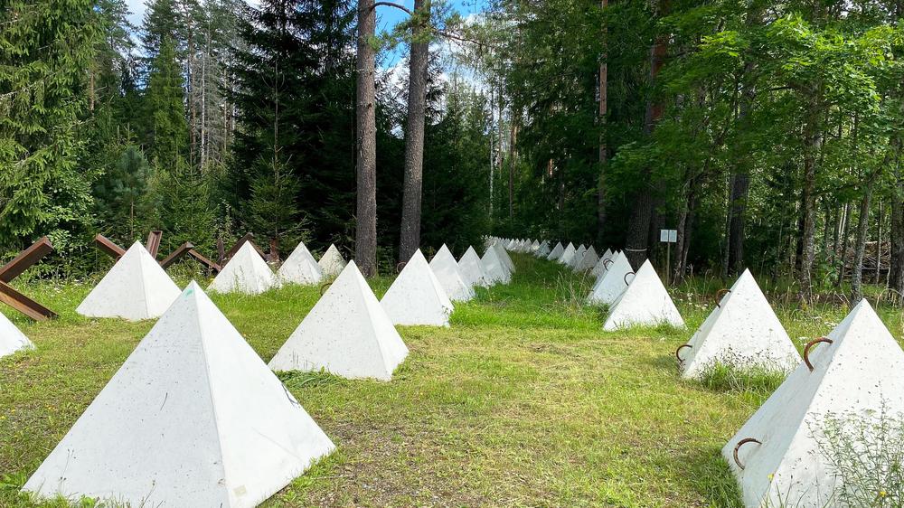 Verteidigung: Nato will an Grenze zu Russland "automatisierte Zone ...