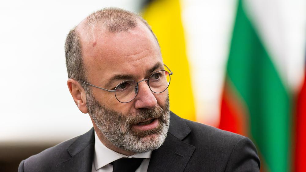 EVP und Rechtsaußen: Friedrich Merz missbilligt Zusammenarbeit der EVP ...