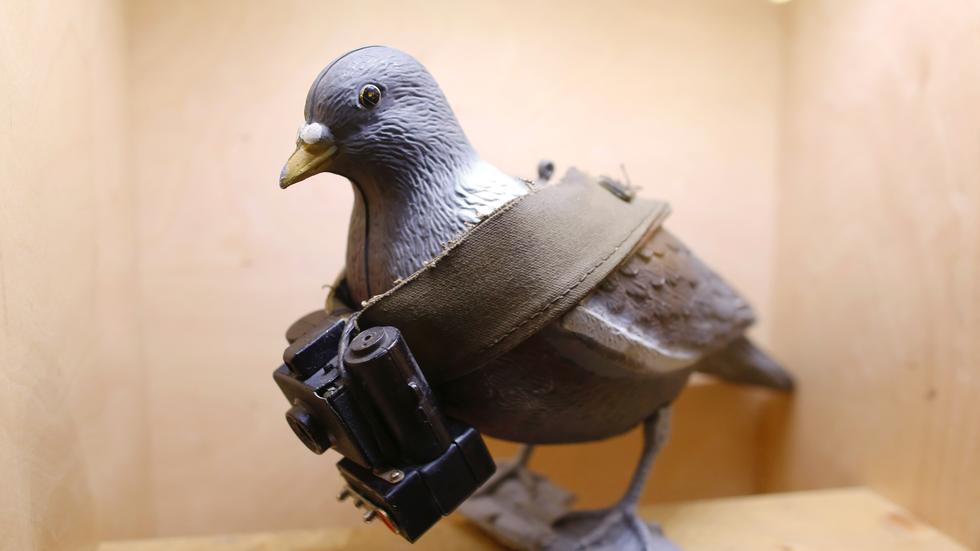 Überwachung: Deutschland kündigt Spionageabkommen mit Westalliierten ...