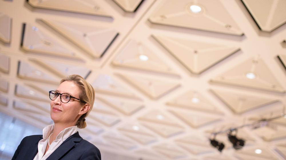 Parteispende: Firma will Spende an AfD nur treuhänderisch ...