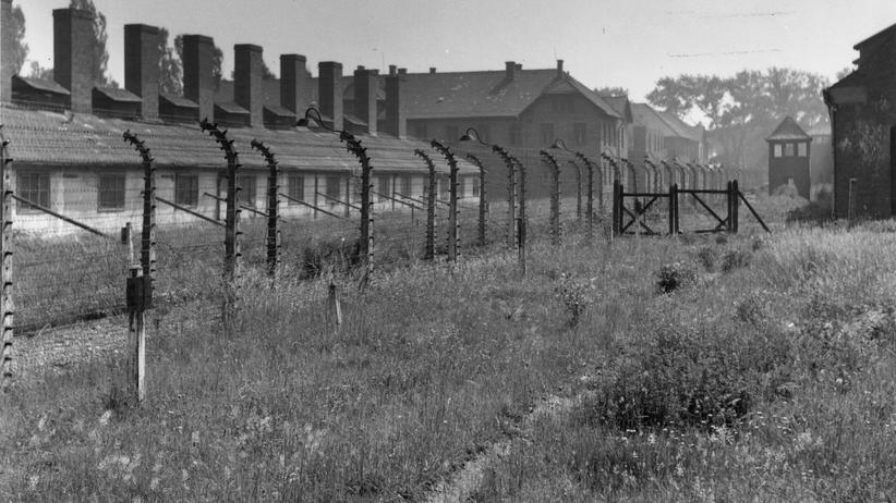 Holocaust: Ein Viertel aller jüdischer Holocaustopfer in drei Monaten ...