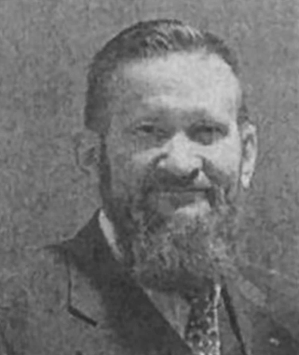 Rechtsextremist im Personenschutz: AfD beschäftigt rechtsextremen Pro ...