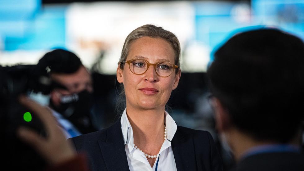 Spendenaffäre: Strafverfahren gegen AfD-Fraktionschefin Weidel ...