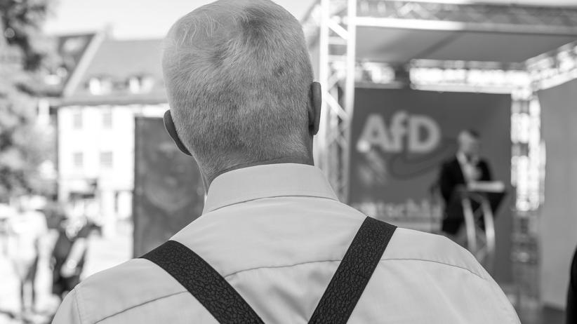 AfD-Verbot: Kann man die AfD verbieten? Muss man sie verbieten? | DIE ZEIT