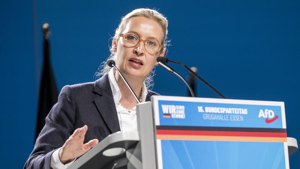 AfD: Weidel kann sich Beitritt zum neuen EU-Rechtsbündnis vorstellen | DIE ZEIT