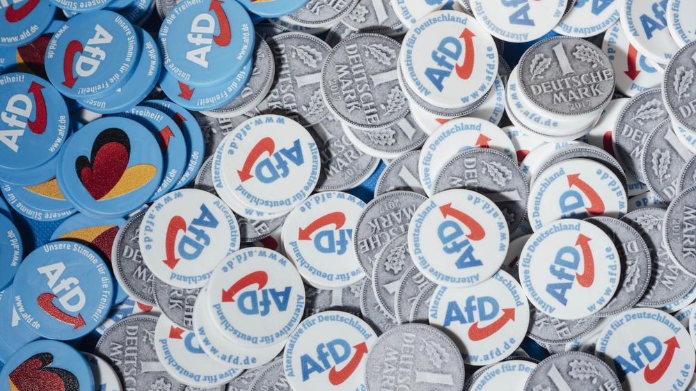 AfD im Europaparlament: Sie machen es fürs Geld | DIE ZEIT