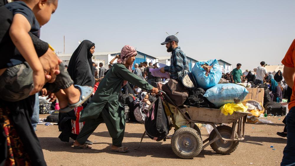 Internationaler Tag der Menschenrechte: 250 Organisationen fordern ...
