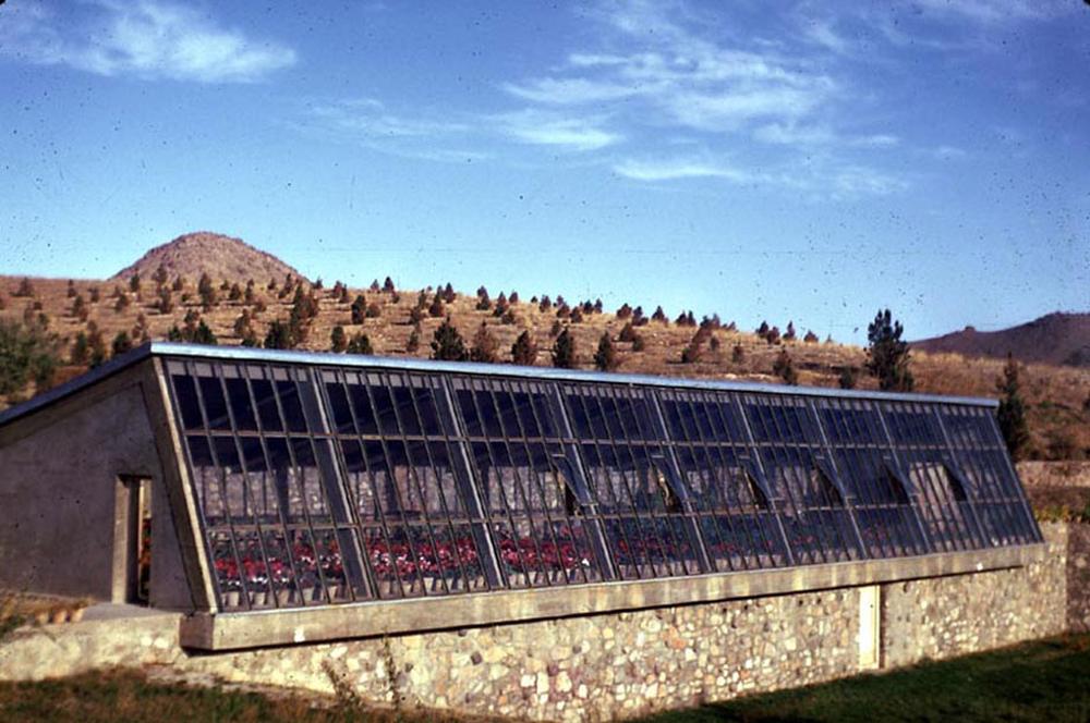 Historische Fotos : Familienalbum aus Afghanistan | ZEIT ONLINE