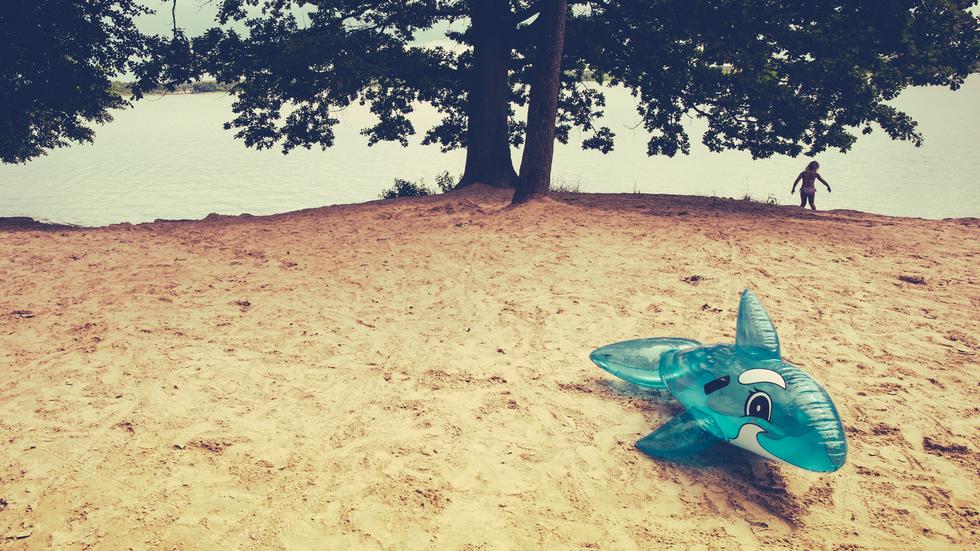 Strandwärter Dirk Rose: "Wir haben echte Wale am Ostseestrand" | ZEIT ...