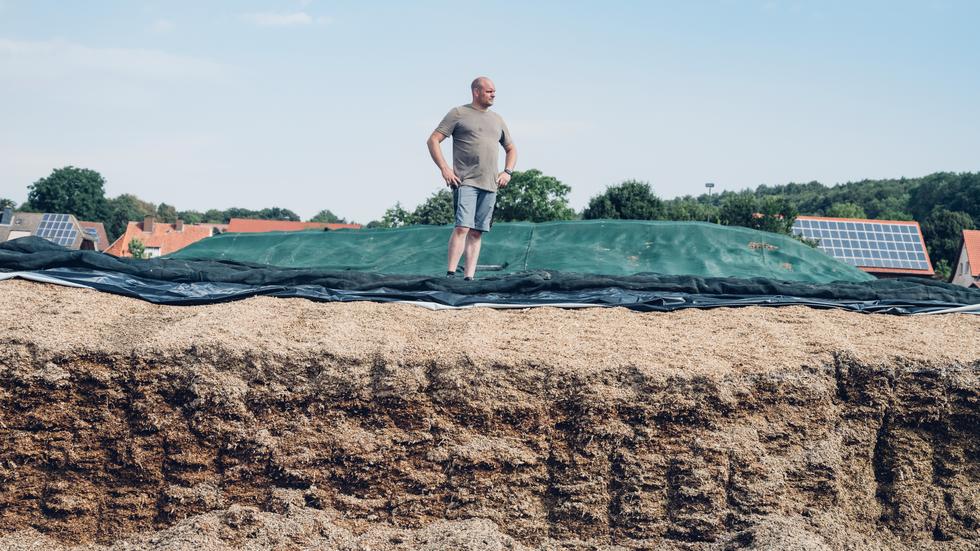 Asche in Niedersachsen: Jeder Kuhfladen ein kleines Kraftwerk | ZEIT ONLINE