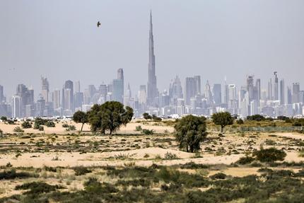 Vereinigte Arabische Emirate - News und Infos | DIE ZEIT