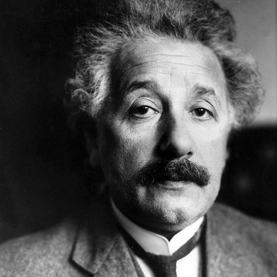 Albert Einstein Als Volwassene