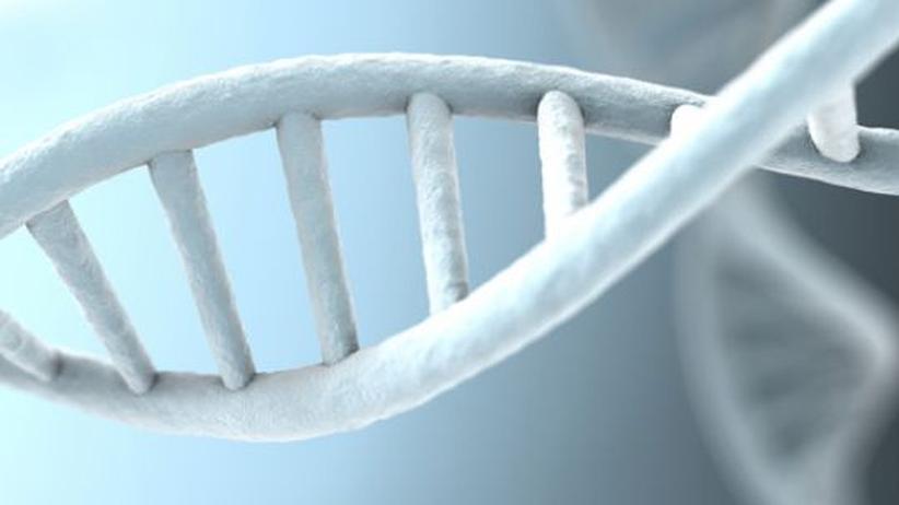 Menschliches Erbgut: Der Datensatz des Lebens ist online | ZEIT ONLINE