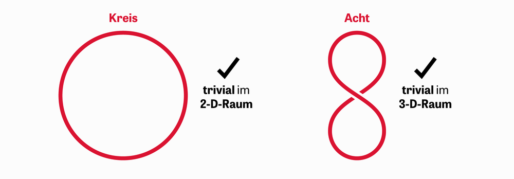 Lisa Piccirillo: "Man muss es wirklich lieben, über das Problem ...