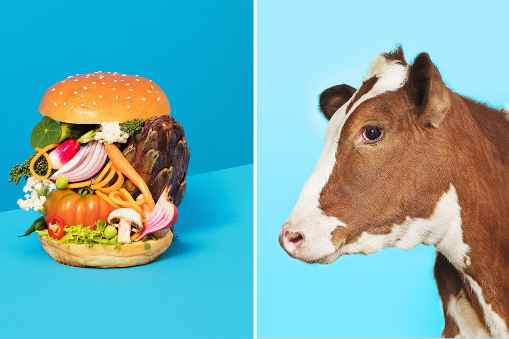 Bernd Ladwig: "Veganismus ist ein Versuch, möglichst wenig Schaden ...
