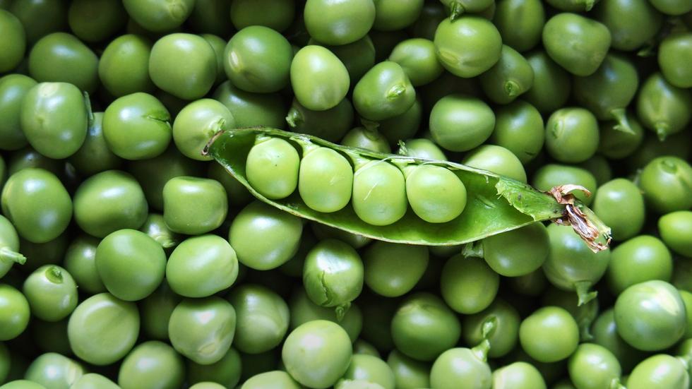 Genetik: Erbsen zählen | ZEIT ONLINE