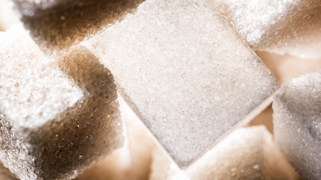 Zucker: So süß! | ZEIT ONLINE