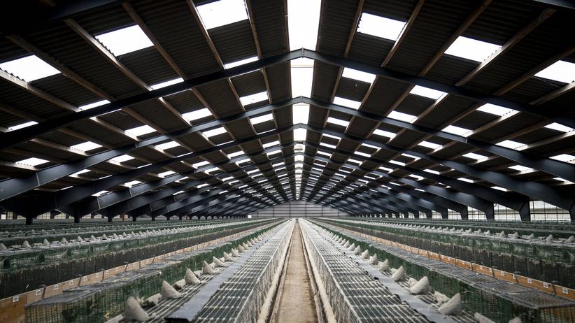 Emma Hodcroft und Richard Neher: "Um all das umzustoßen, bräuchte man ...