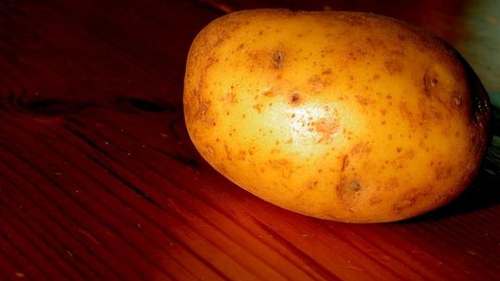 Fragen und Antworten zu Amflora: Das Geheimnis der genetisch ...