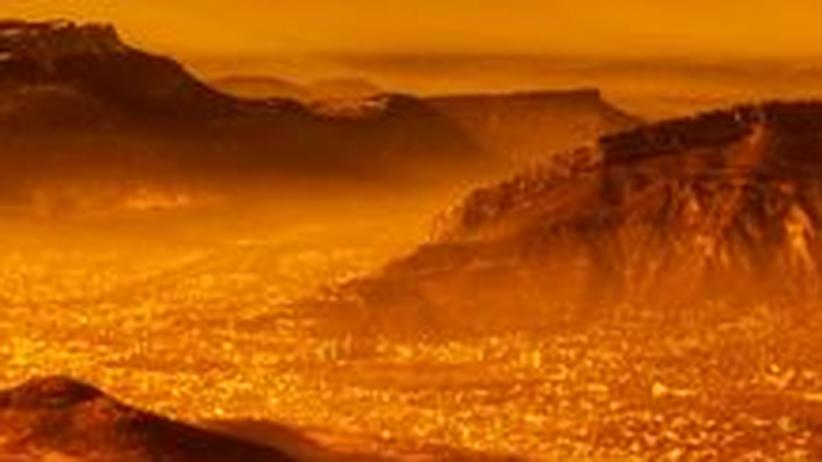 Evolution: Stielaugenmonster nach 60 Jahren identifiziert | DIE ZEIT