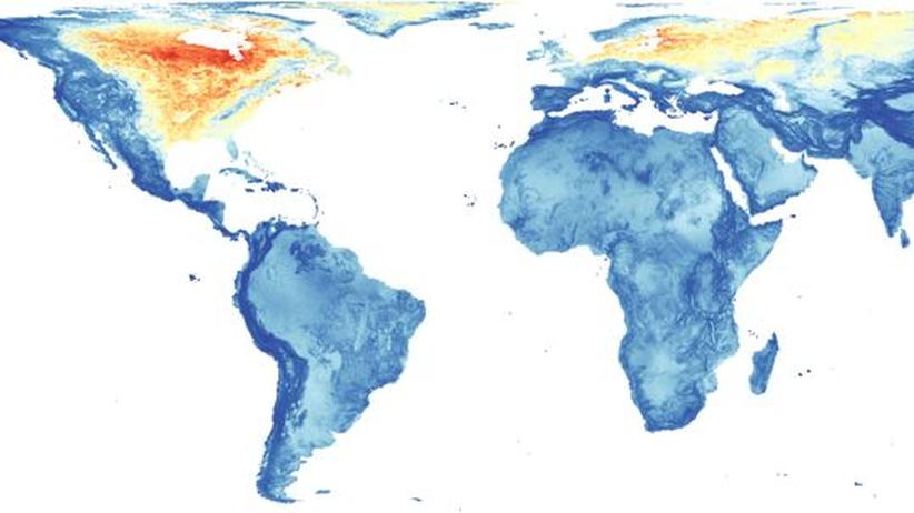 Biodiversitätsforschung: Je schneller der Klimawandel, desto weniger ...