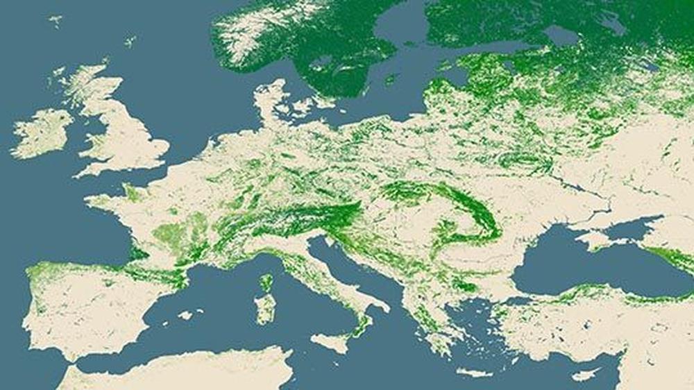 Waldbestände: Das Schrumpfen und Wachsen der Wälder Europas | DIE ZEIT