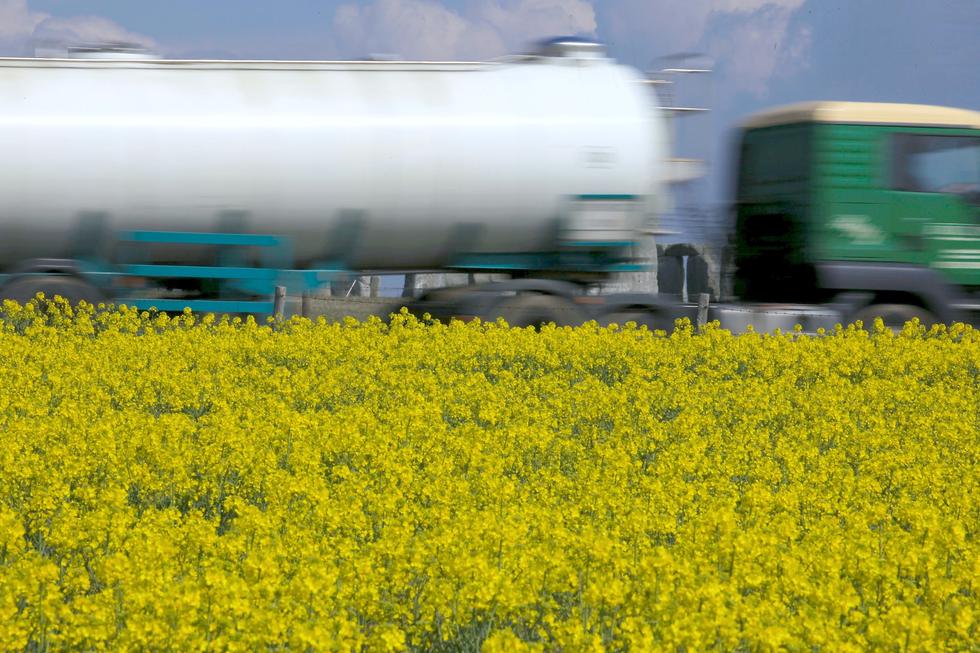 Hans Schuh | Autoren | ZEIT ONLINE