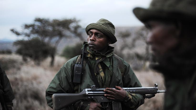 Wilderei: Hightech-Überwachung bedeutet Investitionen in Millionenhöhe ...