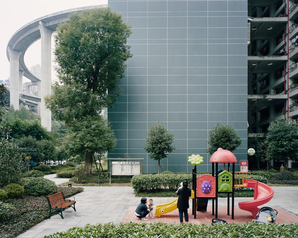 Yan Wang Preston: Mein Freund, der Baum, zieht um | DIE ZEIT