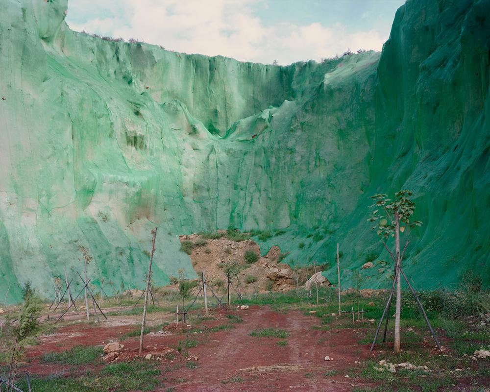Yan Wang Preston: Mein Freund, der Baum, zieht um | DIE ZEIT