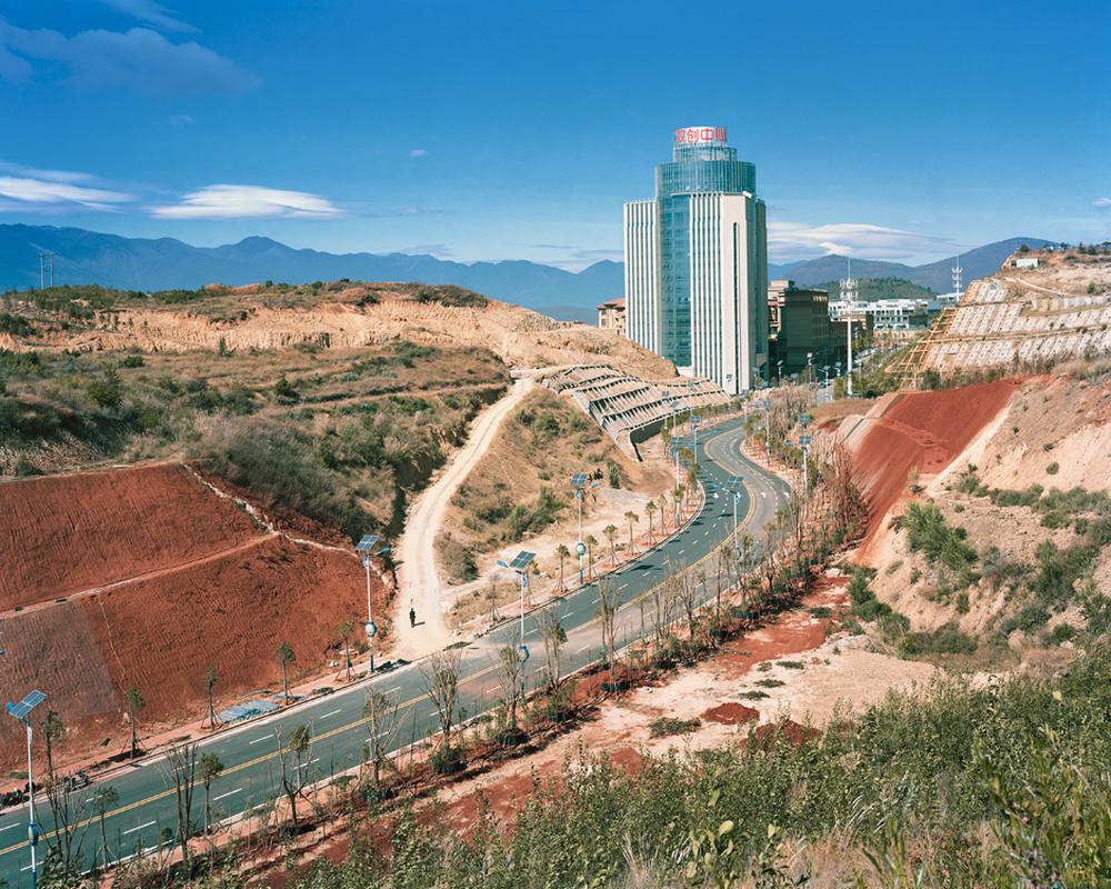 Yan Wang Preston: Mein Freund, der Baum, zieht um | DIE ZEIT