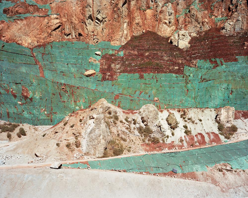 Yan Wang Preston: Mein Freund, der Baum, zieht um | DIE ZEIT