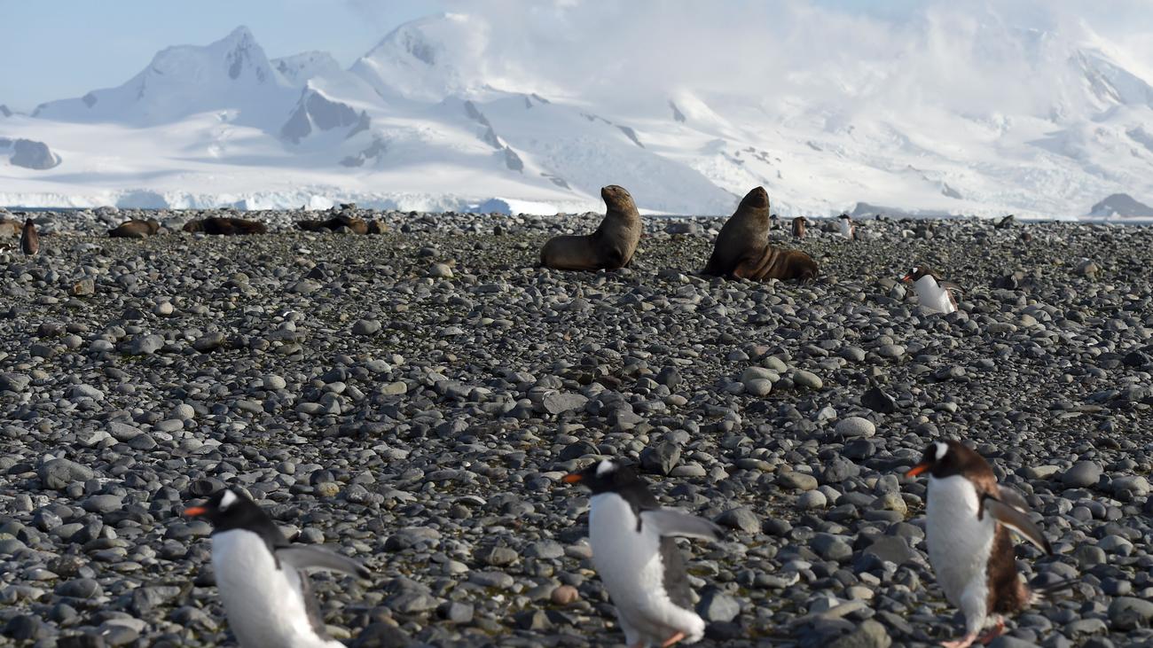 Klimawandel: Ist die Erderwärmung noch zu begrenzen? | ZEIT ONLINE