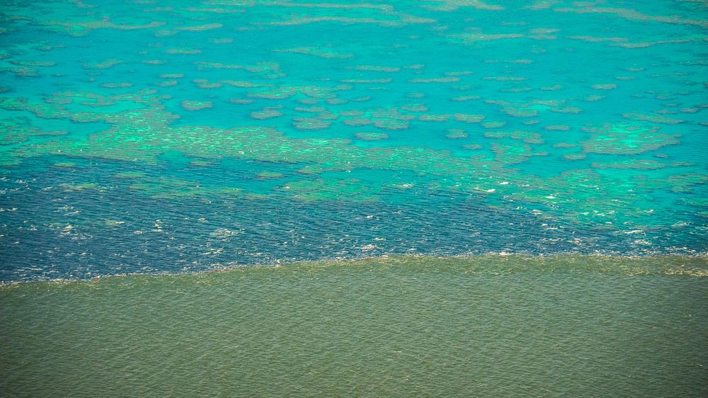 Korallenriff: Schmutziges Wasser bedroht das Great Barrier Reef | DIE ZEIT
