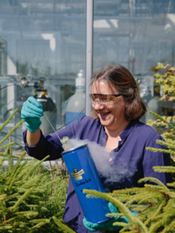 Susan Trumbore: "Brasiliens Forschung ist in Gefahr" | DIE ZEIT