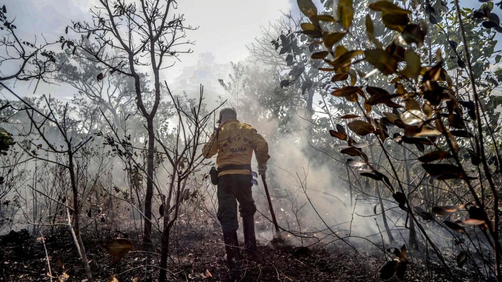 Brasilien: Regenwald am Amazonas brennt wie schon lange nicht mehr ...