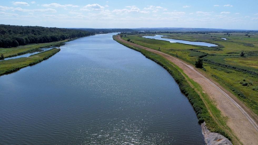 Fischsterben: Wasser aus der Oder kann wieder genutzt werden | ZEIT ONLINE