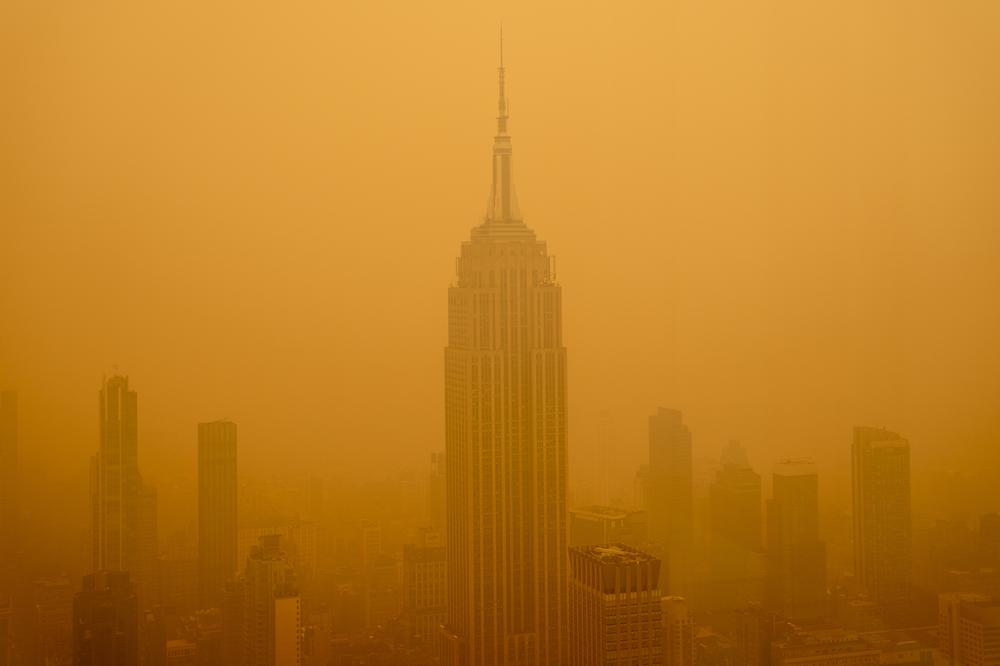 New York: Orange is the New York | DIE ZEIT