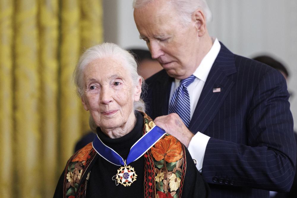Jane Goodall: Primatenforscherin und Umweltaktivistin Jane Goodall ist ...