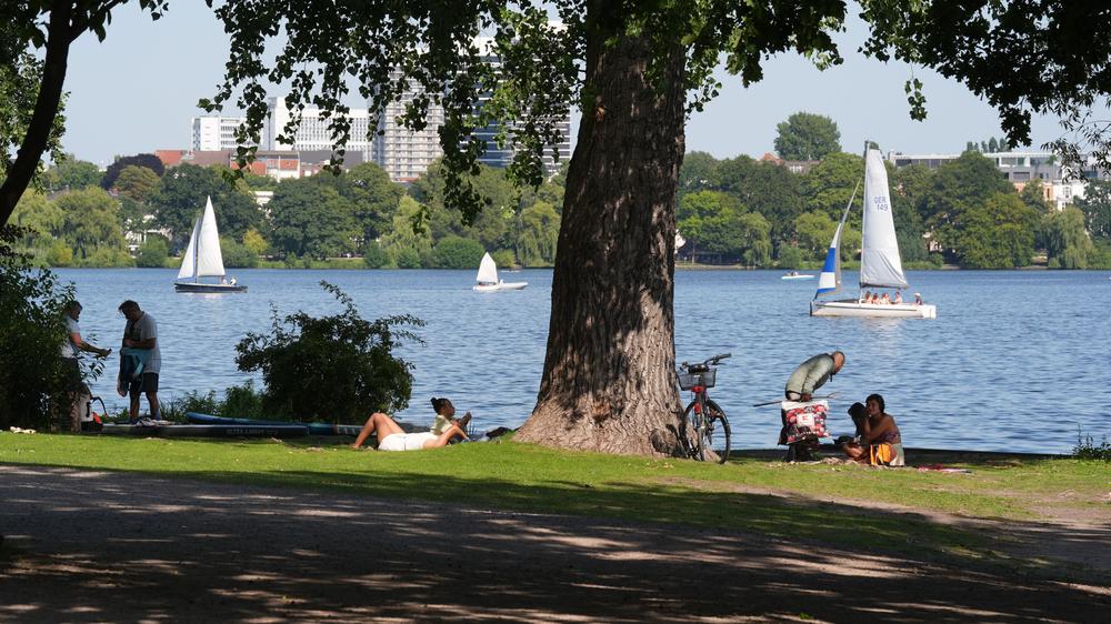 Hitze-Check 2026: Umwelthilfe warnt vor schwindendem Baumschatten in ...