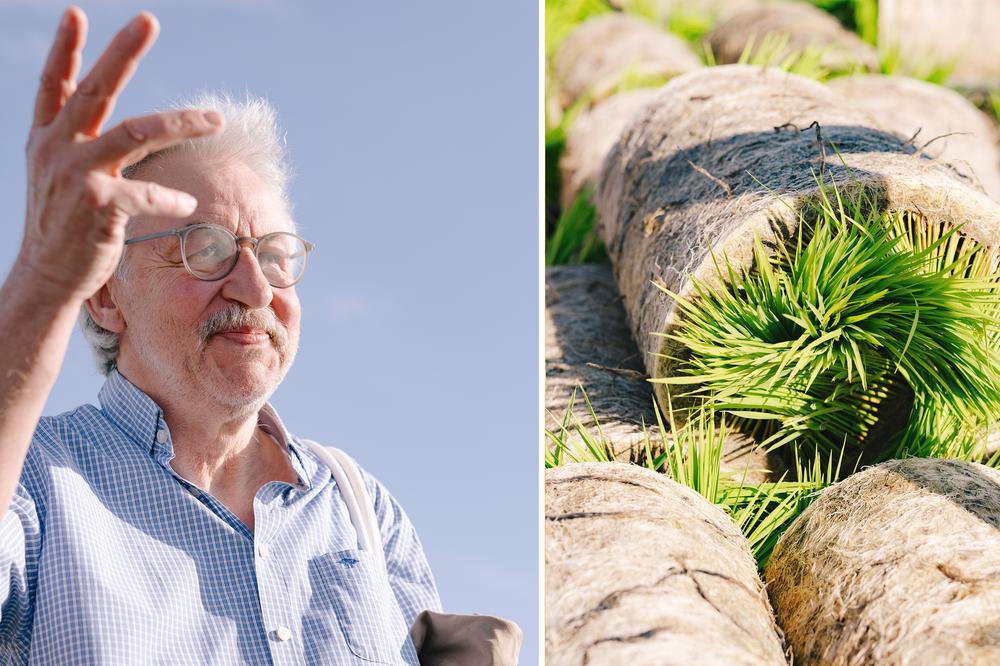 Goldener Reis: Goldene Ära | ZEITmagazin