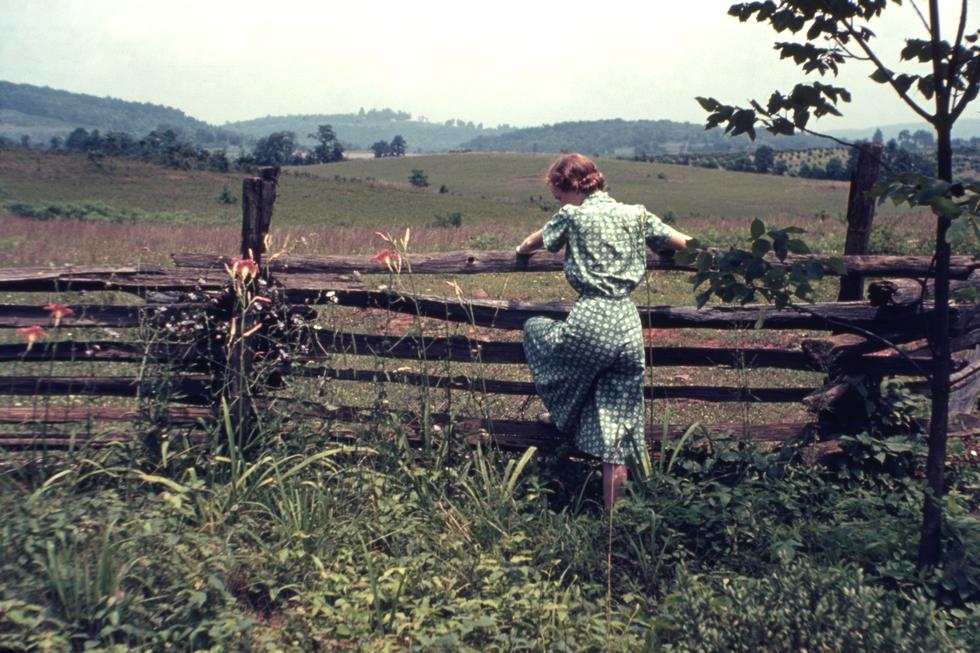 Nina Pauer | Autoren | ZEIT ONLINE