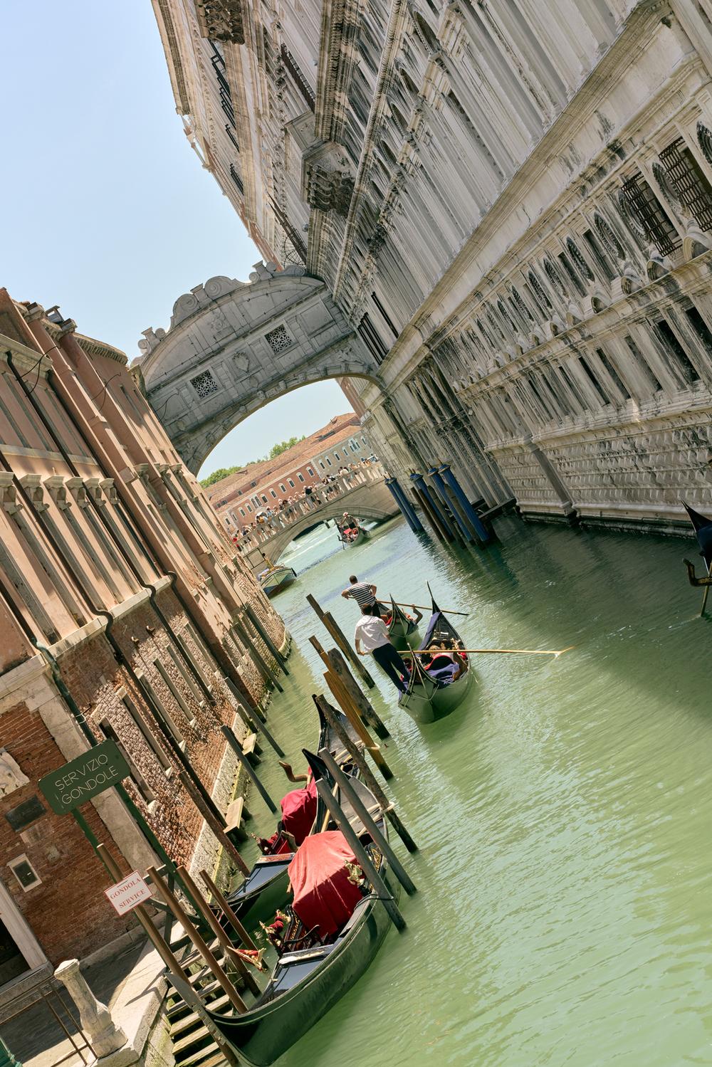 Jeff Bezos und Lauren Sánchez: Venedig bleibt stabil | ZEITmagazin