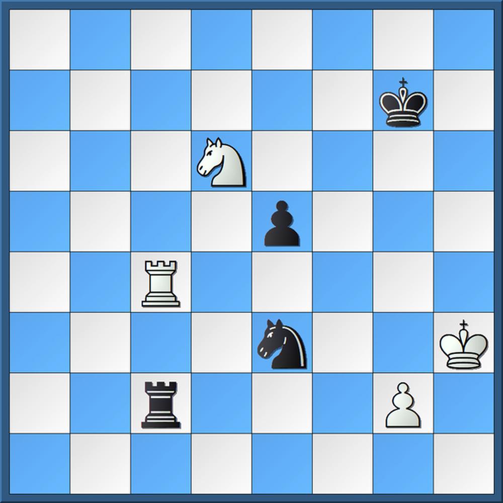 Schach: Schachbretträtsel | ZEITmagazin