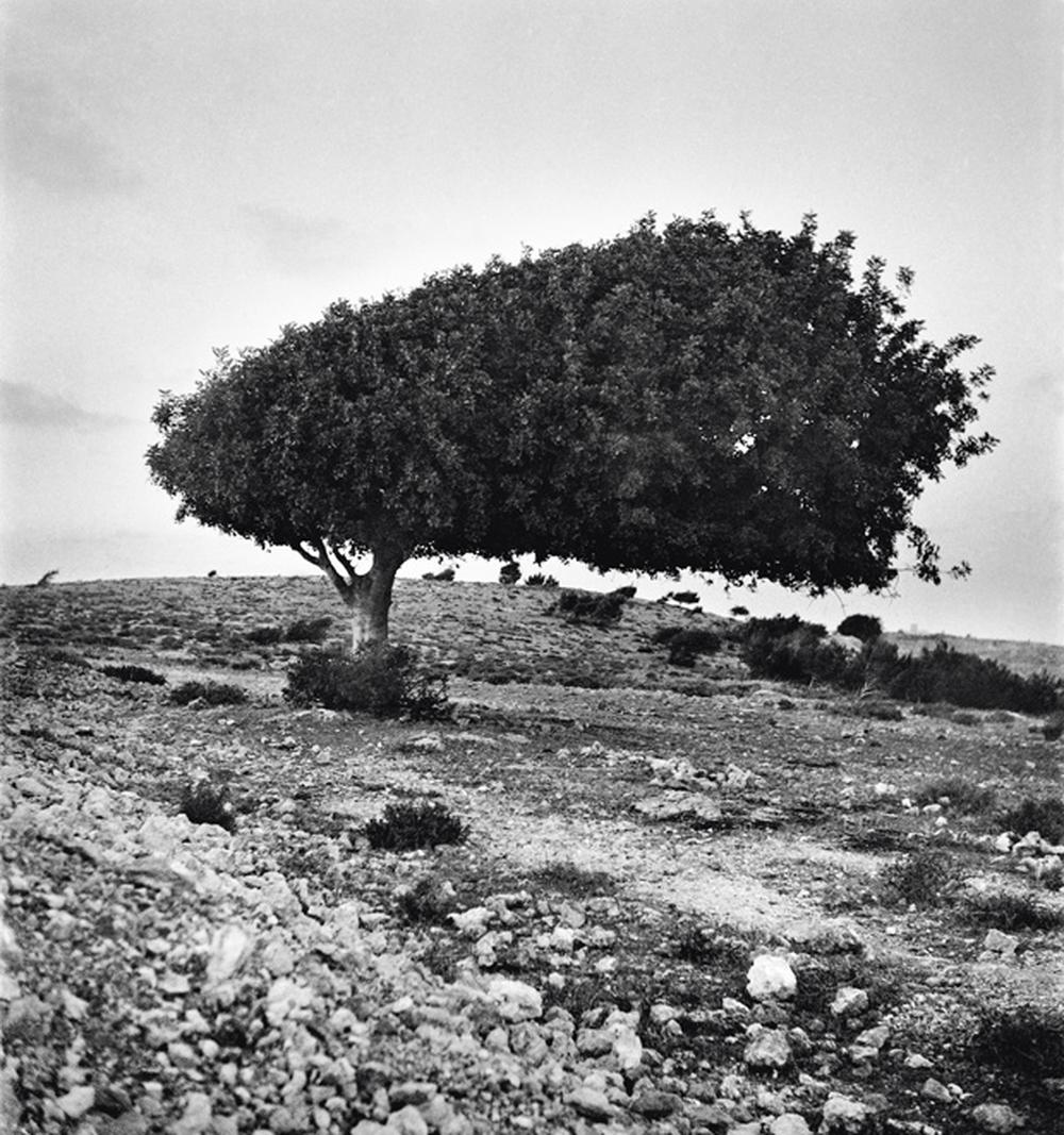 Die Bilder des Fotografen Rudi Weissenstein | ZEITmagazin